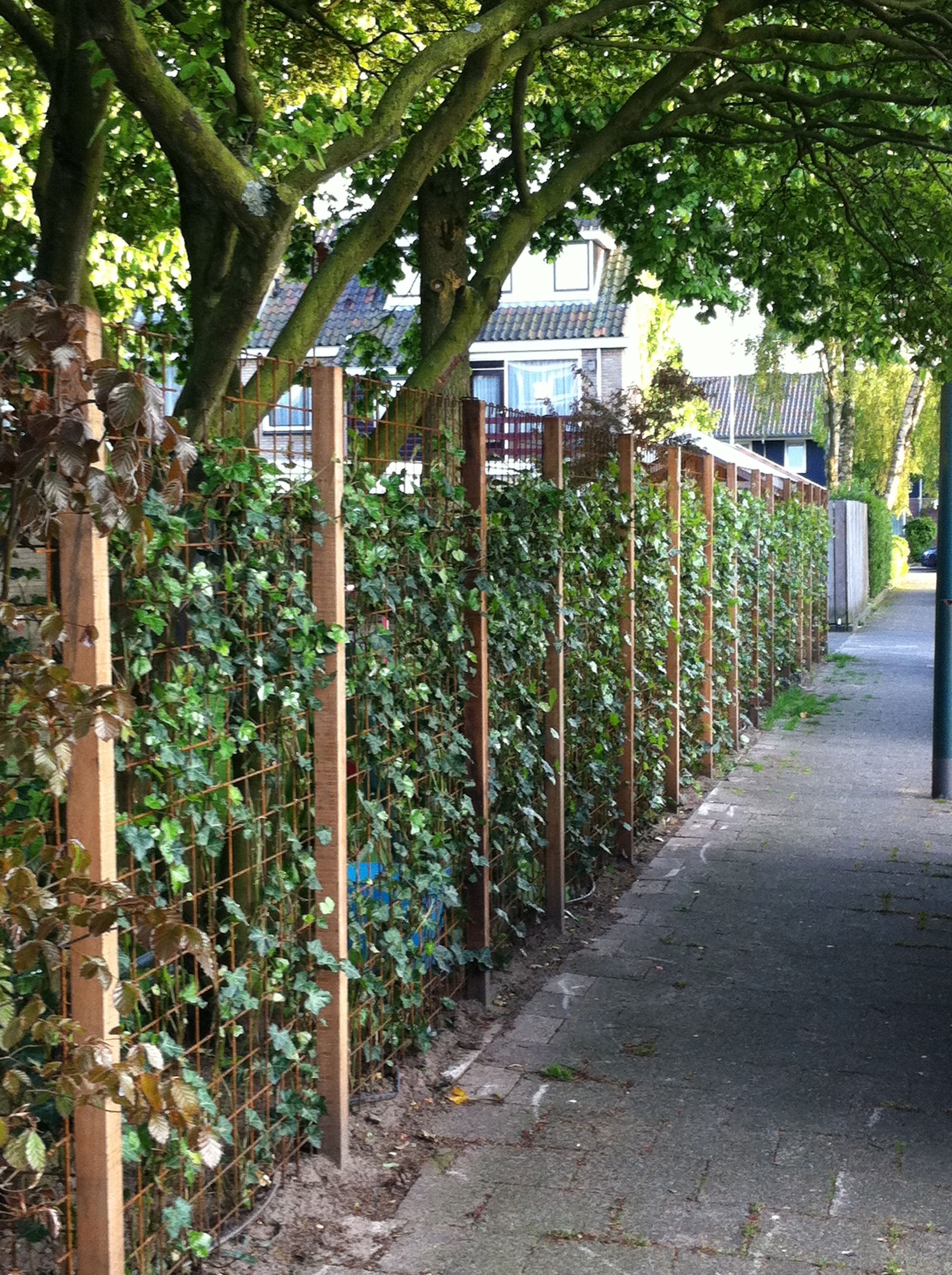 Oxalis Hoveniers & Boomverzorging